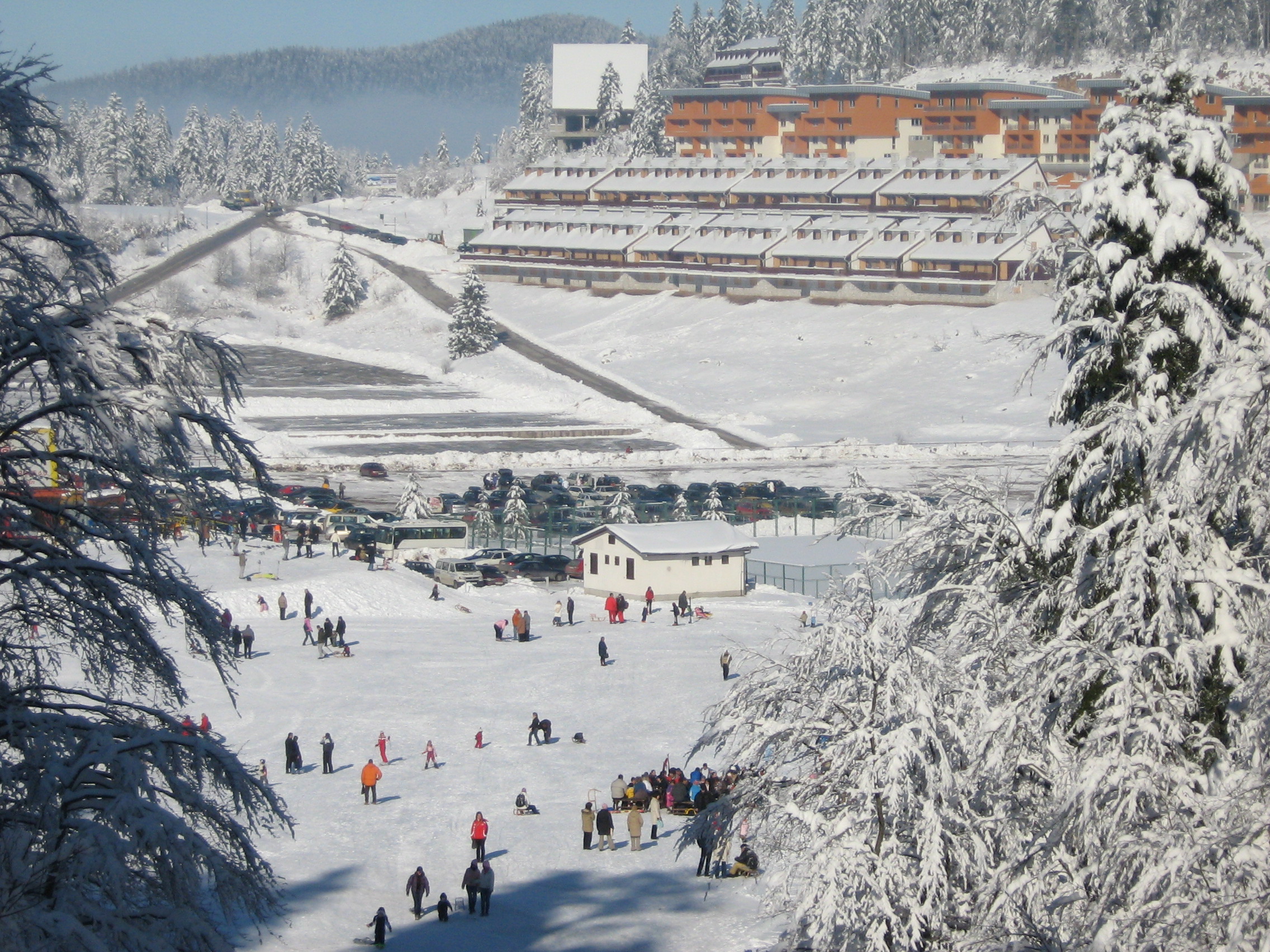 Dan Općine Trnovo | Savez općina i gradova FBIH